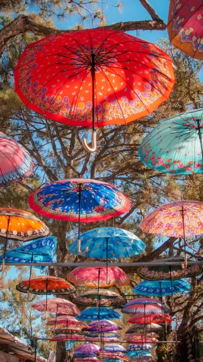 Object - Free Stock Photos | Life of Pix