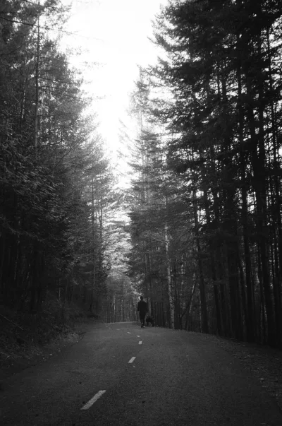 Textures - Free Stock Photos | Life of Pix